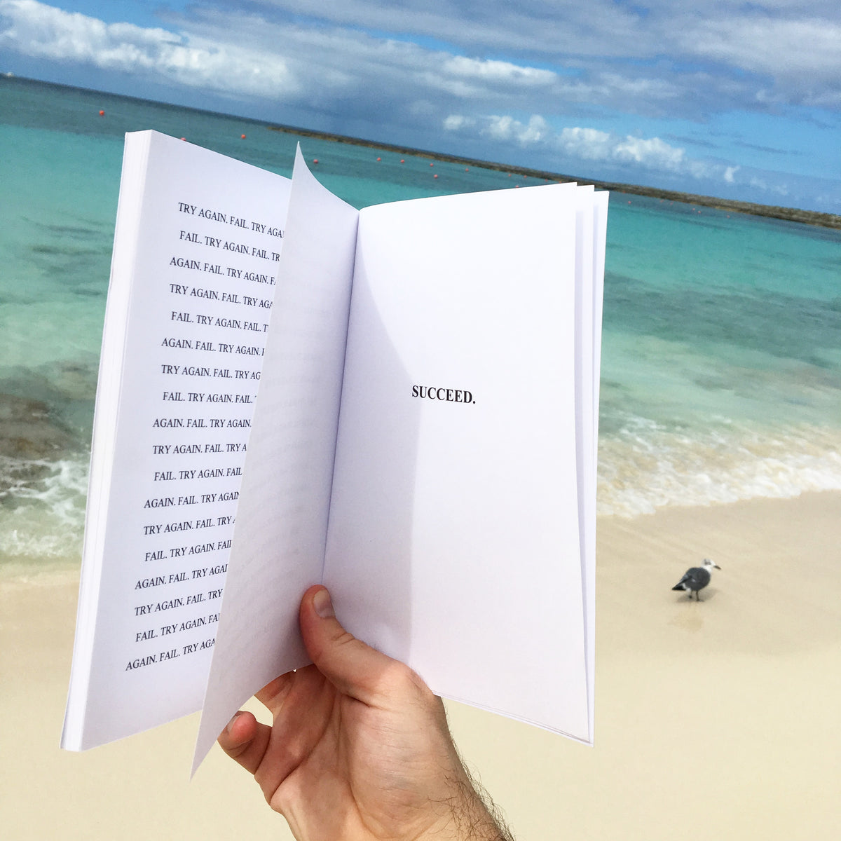 "How To Succeed At Anything in Life." Book – HTSAAIL™